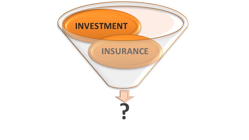 Ecourse - Certified Financial Guardian